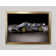 Bright Star Zonda Black Beauty - Single Picture Frame Art Prints ...
