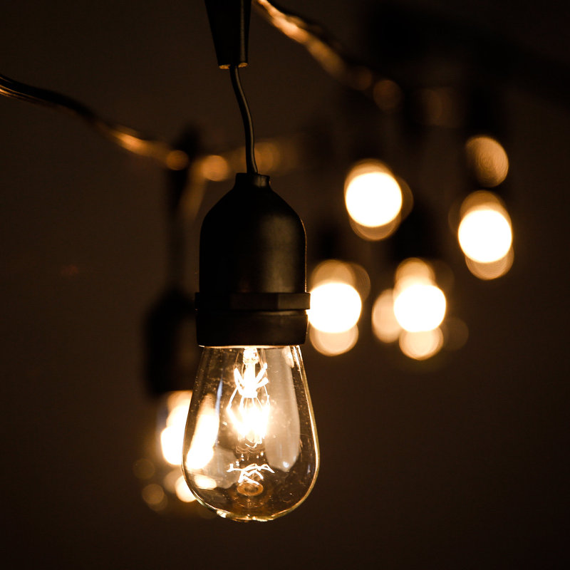 Hometown Evolution, Inc. 100' Outdoor 50 - Bulb Standard String Light ...