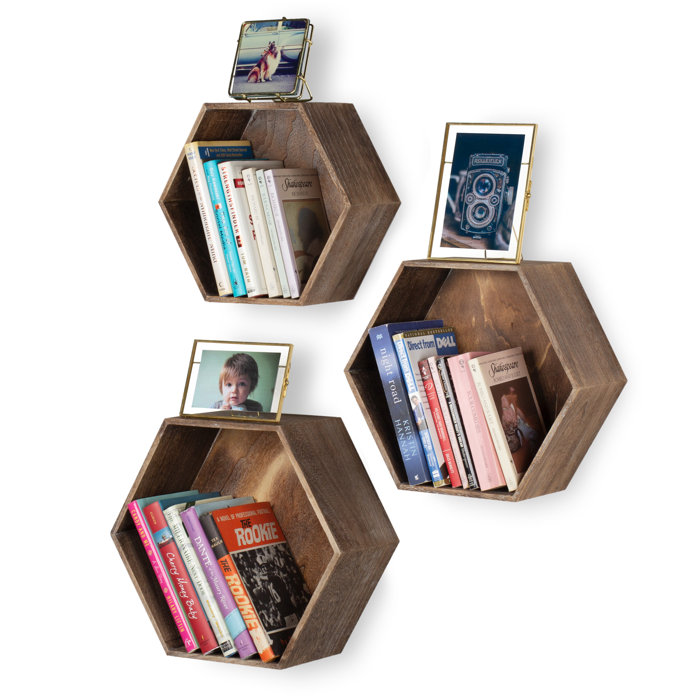 Foundry Select Dailey 3 Piece Hexagon Paulownia Floating Shelf ...