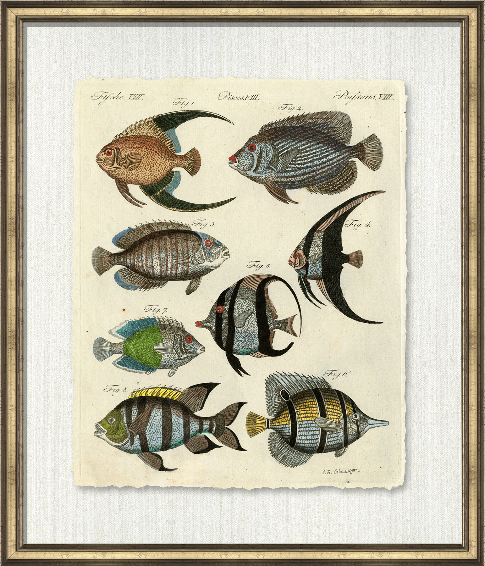 Wendover Art Group Pisces I - Picture Frame Painting on Paper | Wayfair