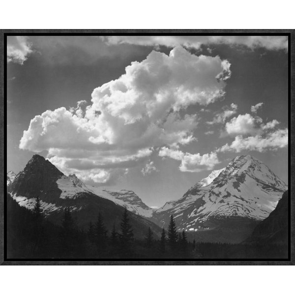 Vault W Artwork " Trees In Glacier National Park, Montana - 1941 " by ...
