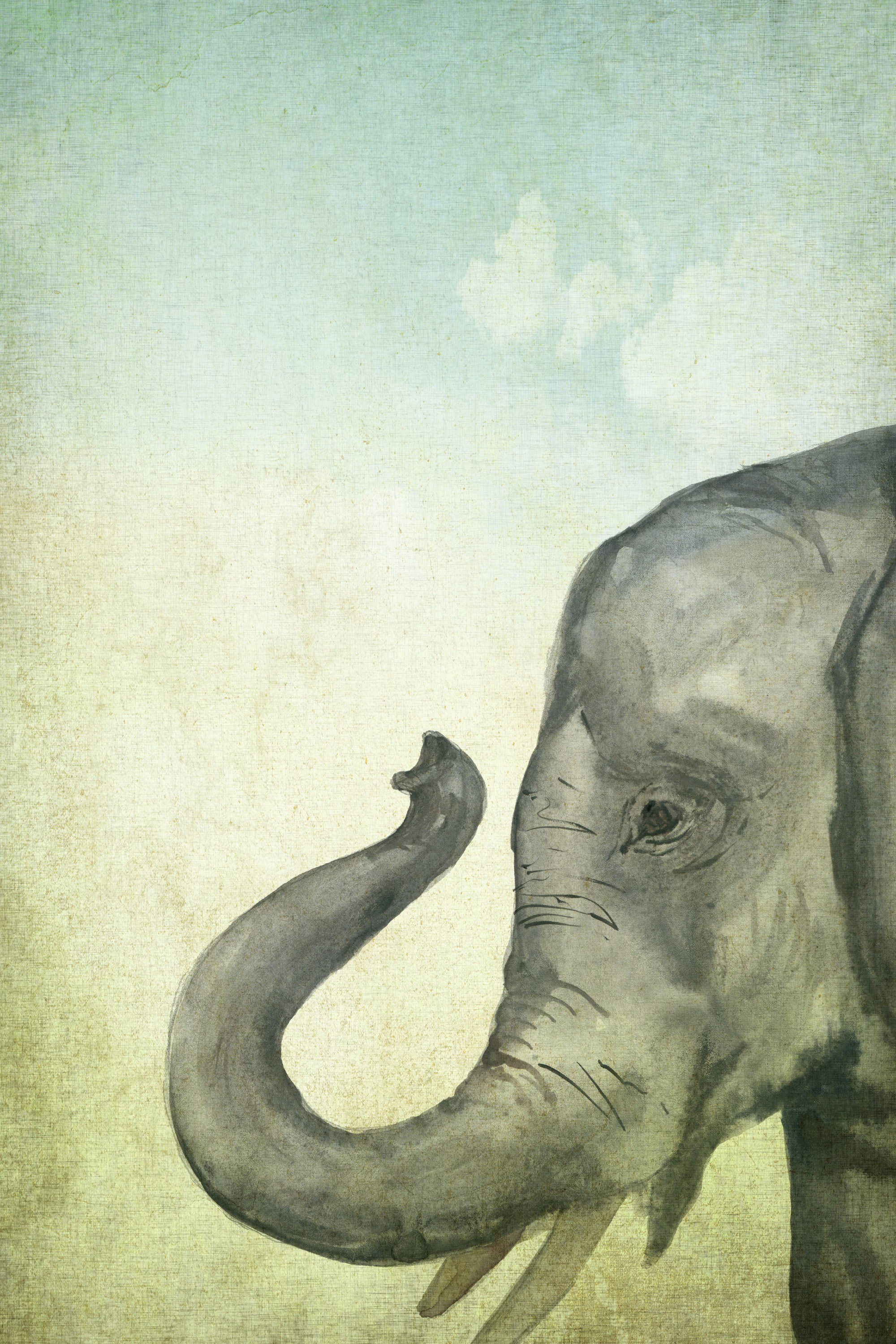 Viv + Rae™ Lanclos I'm All Trunk - Wrapped Canvas Print | Wayfair