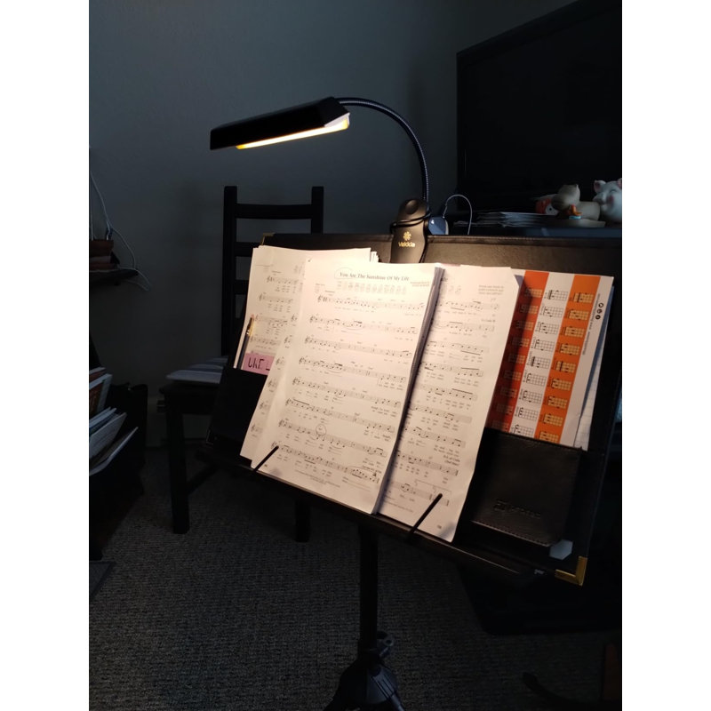 Latitude Run® Clip On Piano Lights,USB Rechargeable Piano Lamp,Super ...