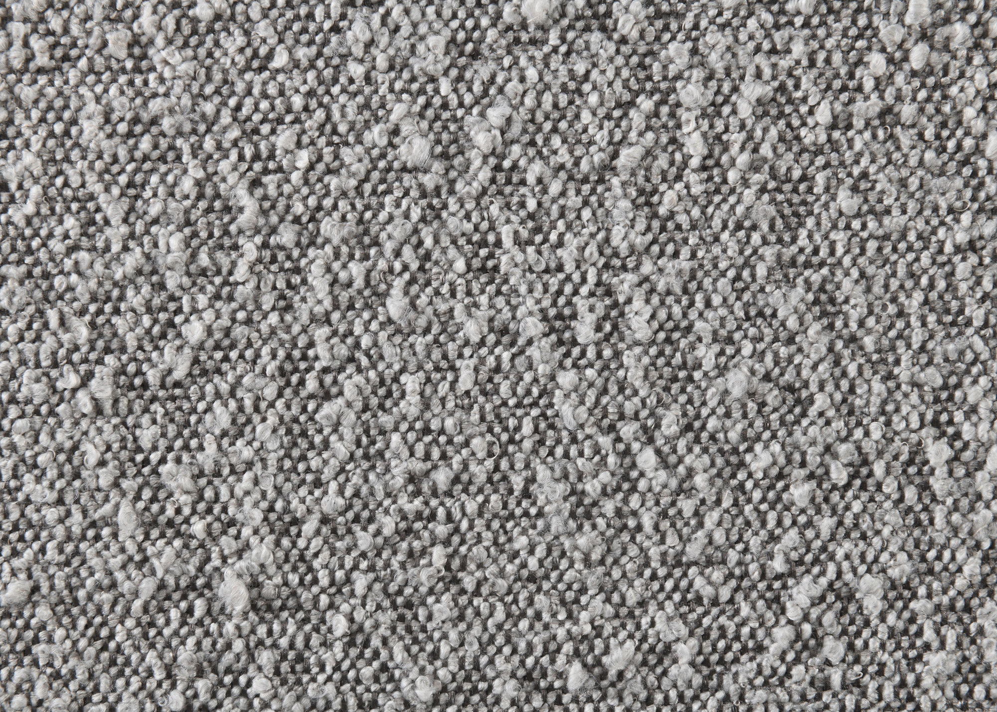 Latitude Run® Cleo Gray Boucle Bed | Wayfair