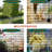 Tucker Murphy Pet™ Metal Garden Fence 2/3/4/5/6 Ft High Chicken Wire ...
