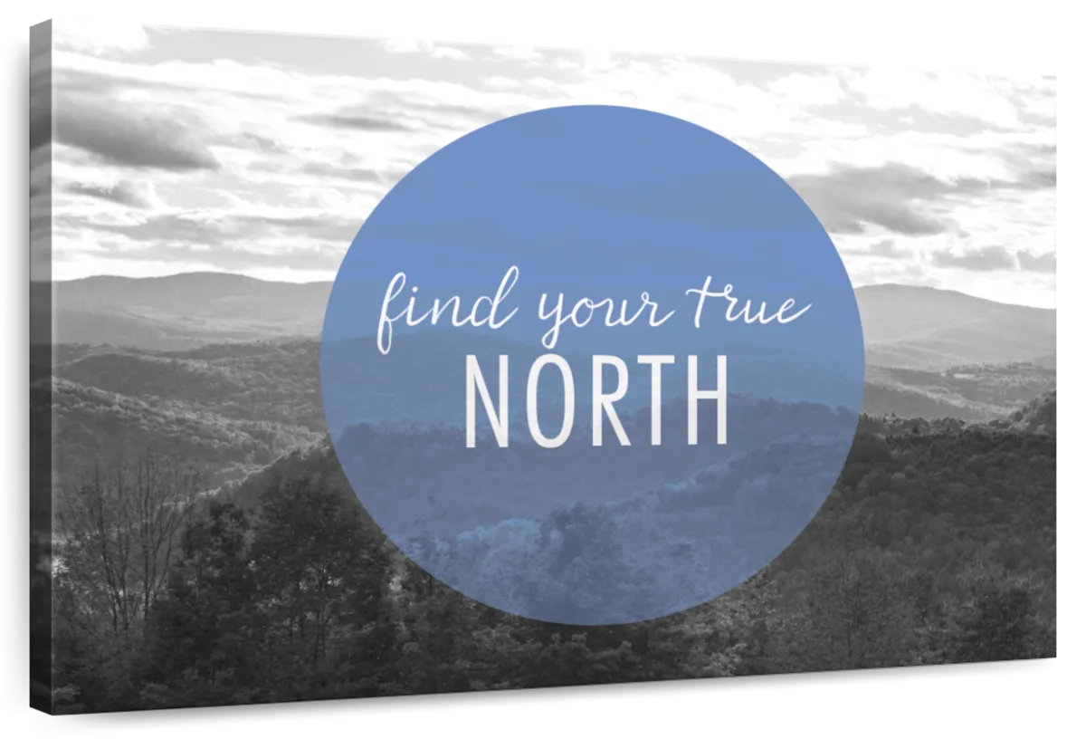 Ebern Designs Tergel Bold Adventures North | Wayfair