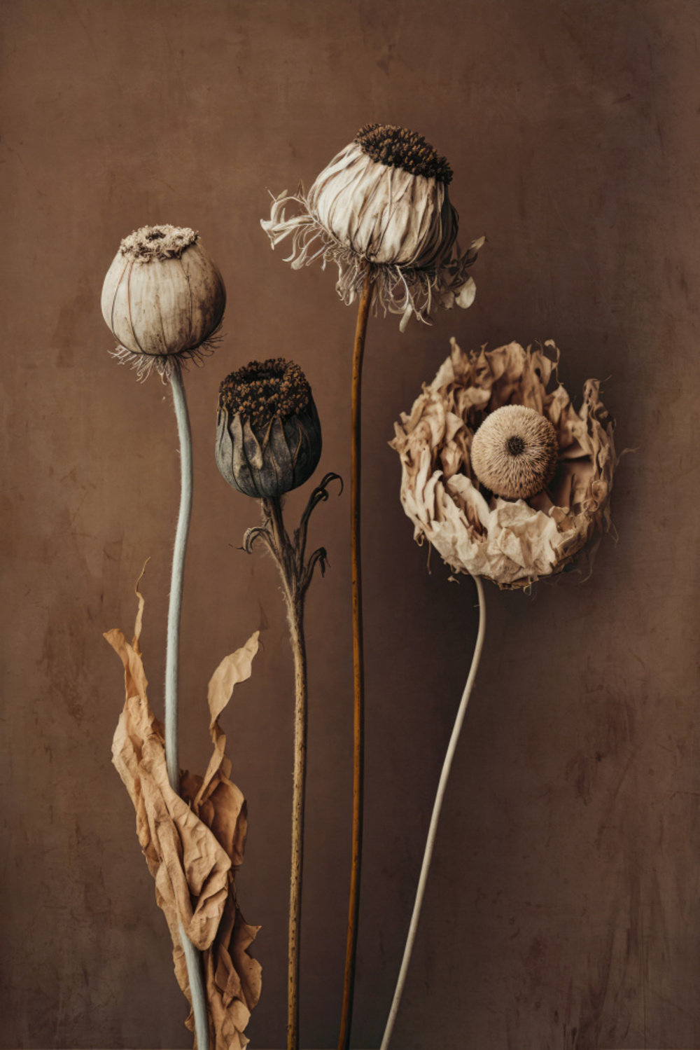 Brayden Studio Three Dry Flowers | Wayfair.co.uk