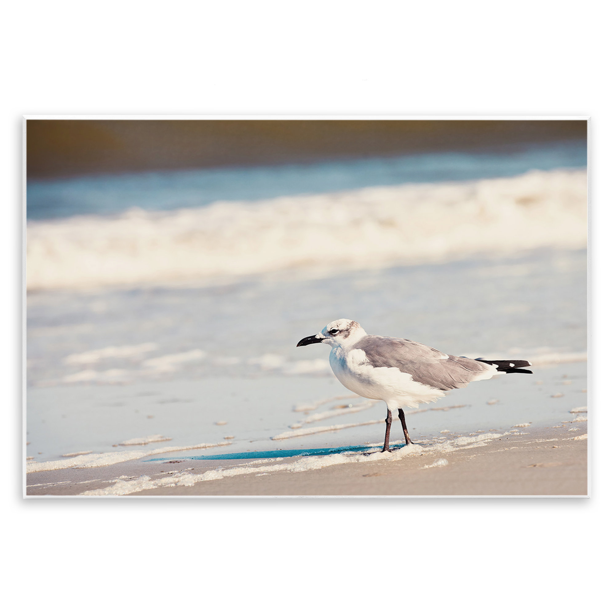 Highland Dunes Seagull Stepping on Shore Wall Plaque Art by Susan ...