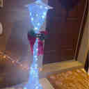 Three Posts™ Lamppost LED Lighted Display & Reviews | Wayfair