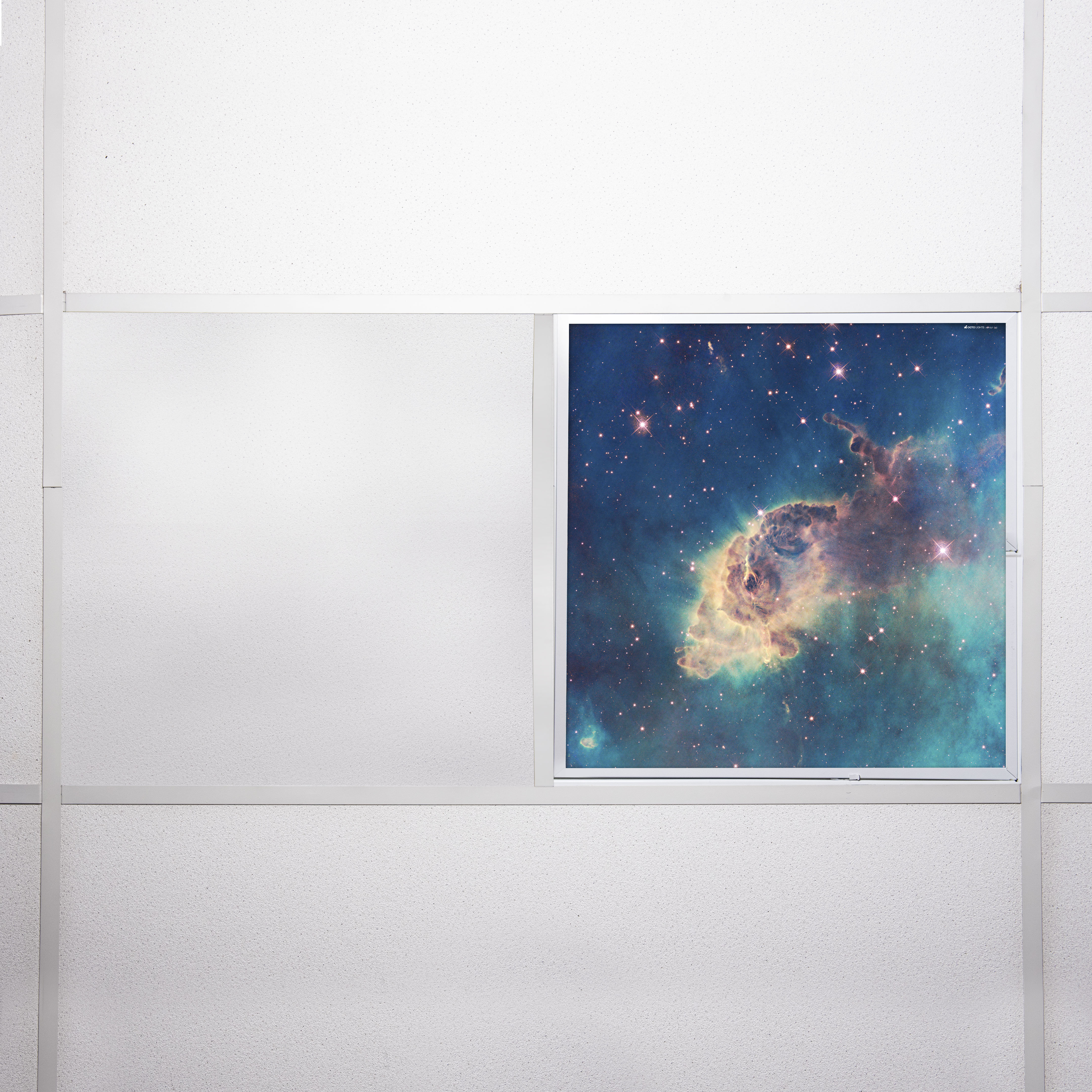 Octo Lights - Fluorescent Light Covers - Flexible Decorative Light ...