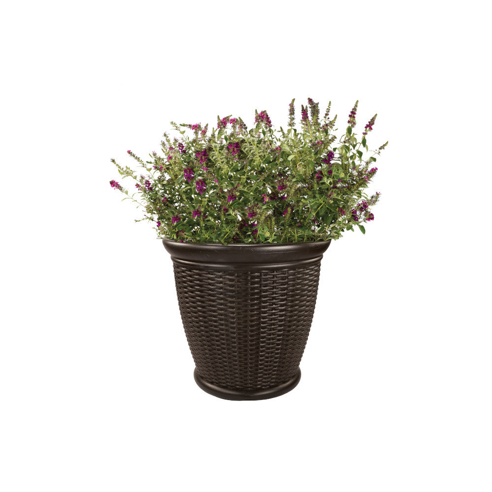 Suncast Willow 2-Piece Resin Pot Planter Set & Reviews | Wayfair