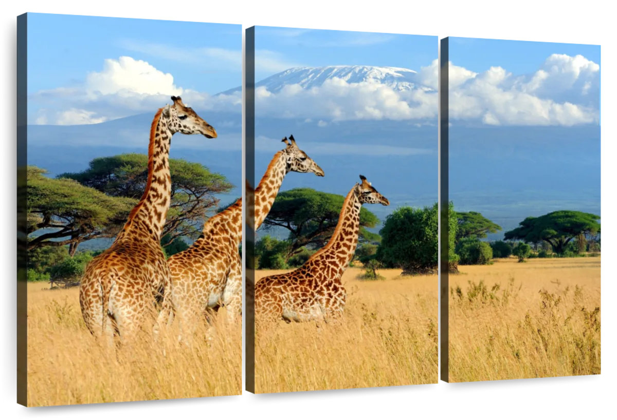 Millwood Pines Alvord Dallying Giraffes | Wayfair