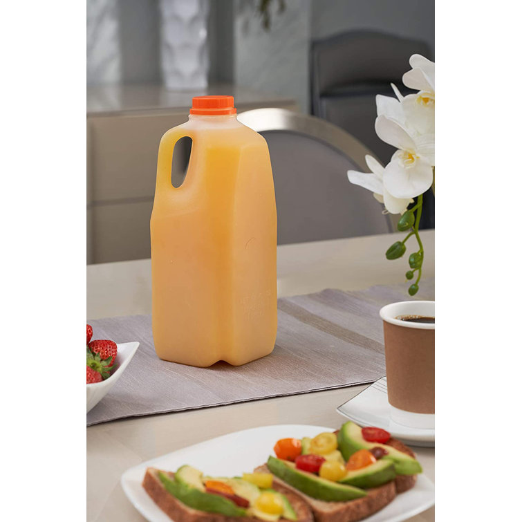 Prep & Savour Andelina Foggy Plastic 64 Oz. Growler | Wayfair