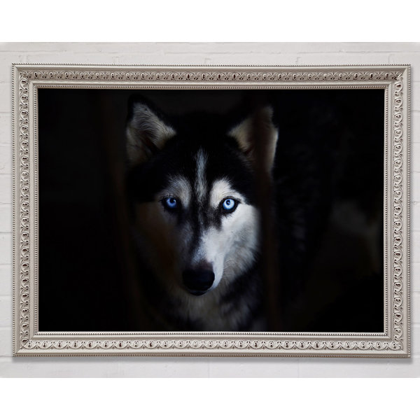 Bright Star Husky Dog Wolf Face - Single Picture Frame Art Prints ...