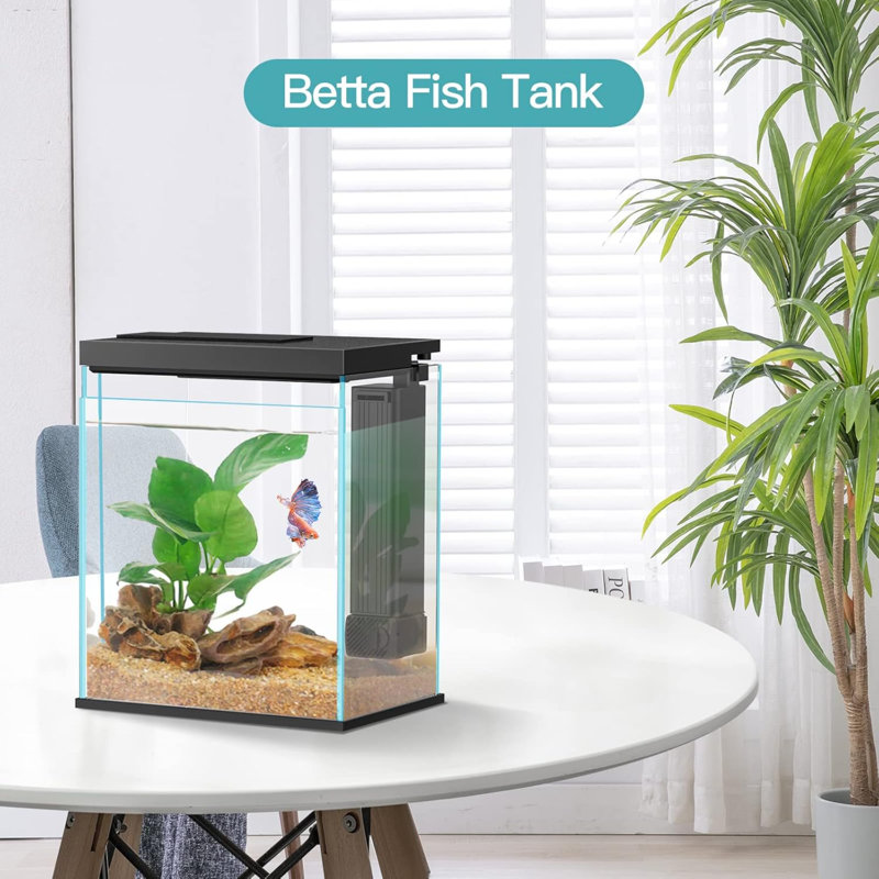 Tucker Murphy Pet™ Betta Fish Tank, 2 Gallon Glass Aquarium Starter Kit ...