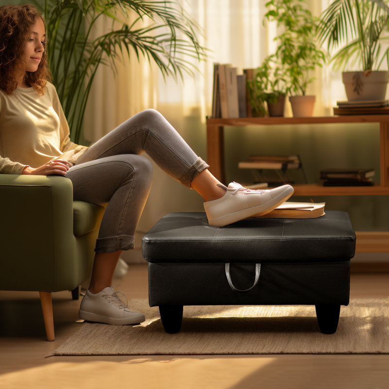 Ebern Designs Pinecrest Vegan Leather Storage Ottoman Bench Storage ...