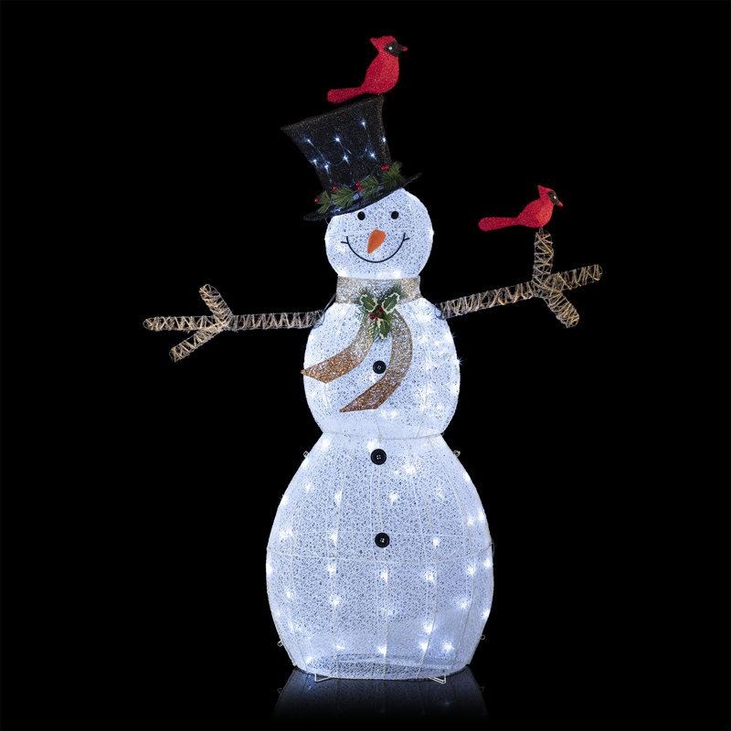 The Holiday Aisle® Snowman Lighted Display & Reviews | Wayfair