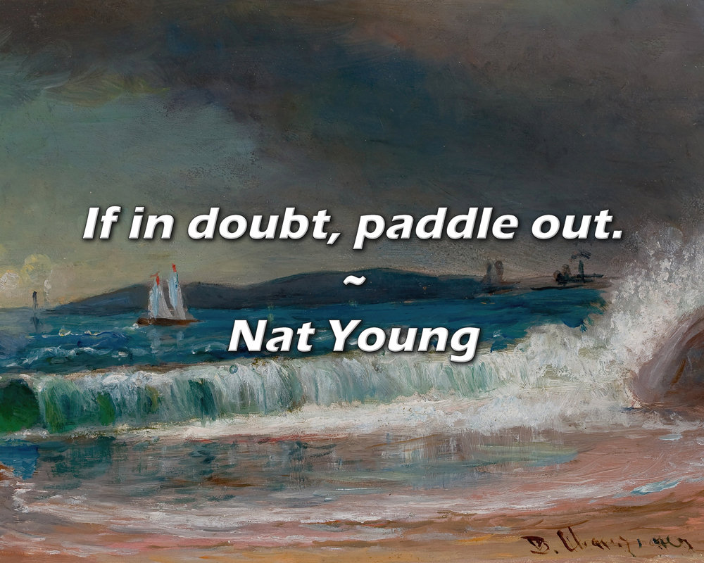 Trinx Nat Young Quote: If in doubt, paddle out. - Wayfair Canada
