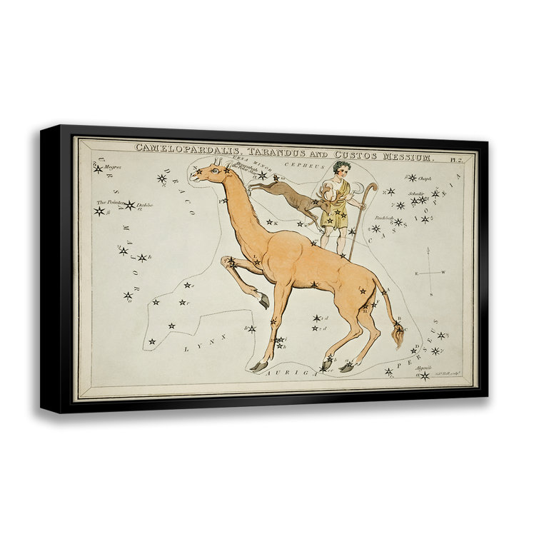 ATX Art Group LLC Astronomical Chart Illustration Of The Camelopardalis ...