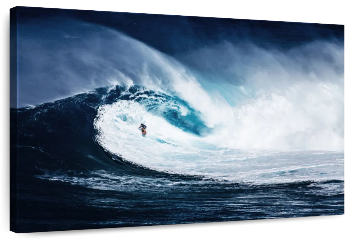 Elephant Stock Wild Wave | Wayfair