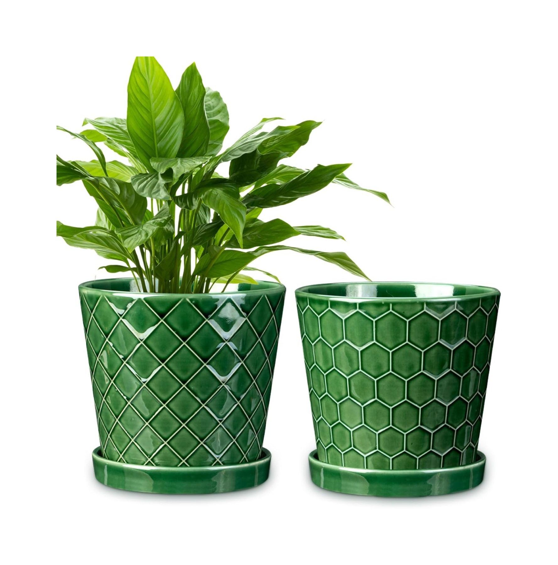 Wrought Studio™ 6 Inch Plant Pot,Ceramic Pots For Plants With Drainage ...