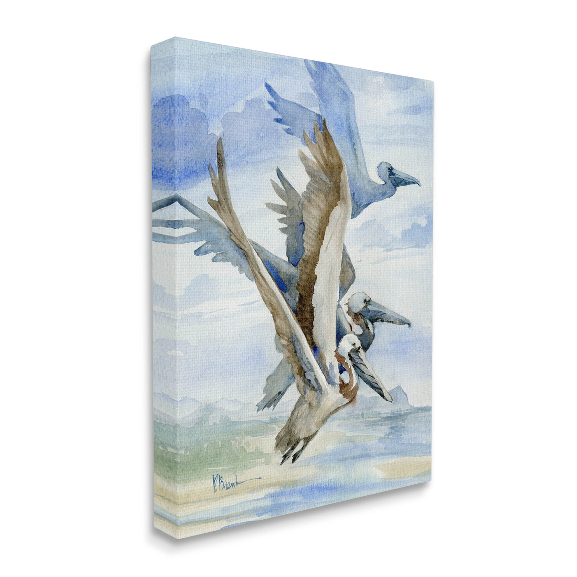 Latitude Run® Pelicans Aloft Bird Flight Trio by Paul Brent - Wrapped ...