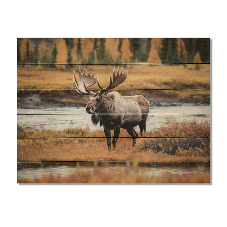 Millwood Pines " Moose In Alaska Scenery I " on Wood | Wayfair