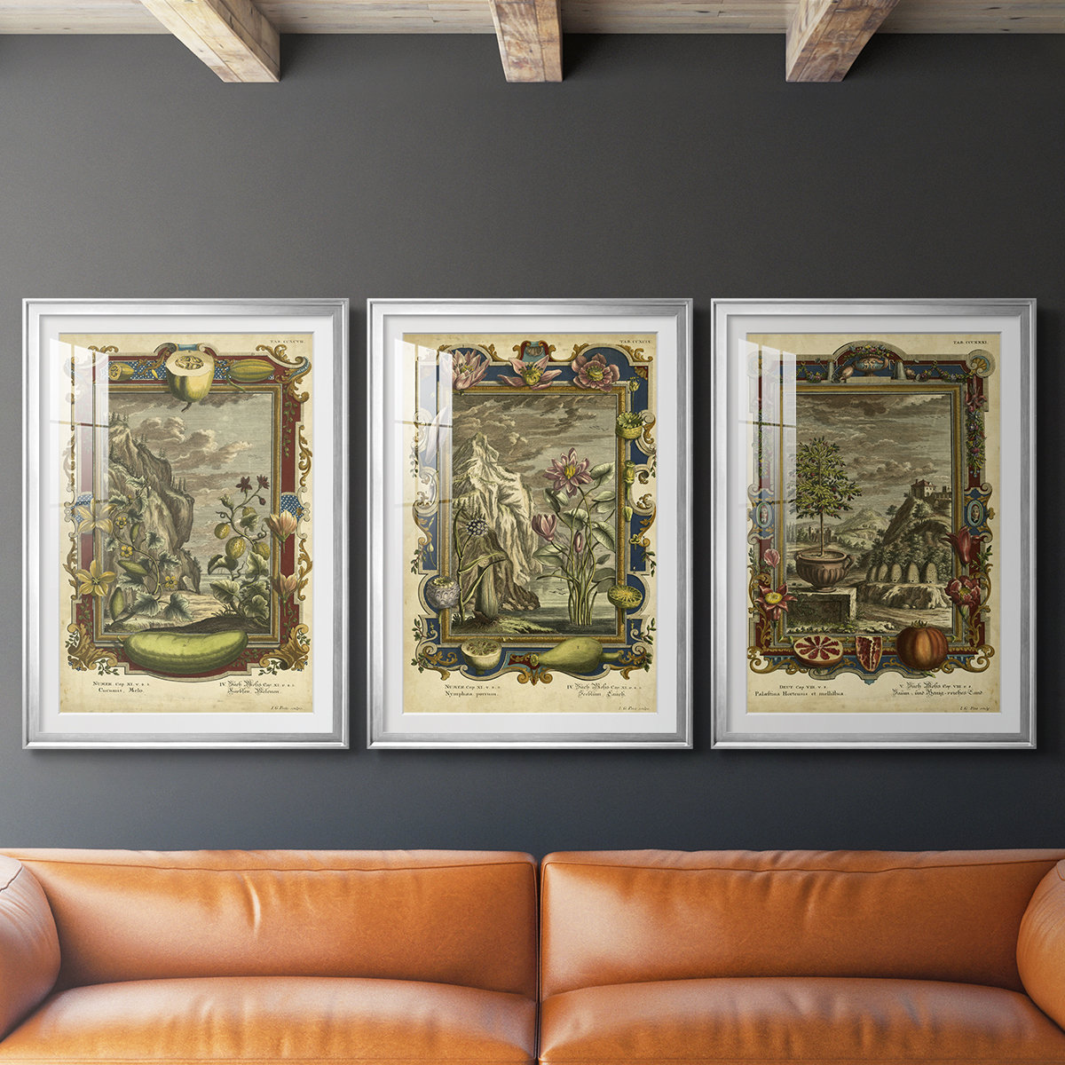 Hokku Designs Genesis Fruits I -Custom Framed Premium Print W Matt - 3 ...