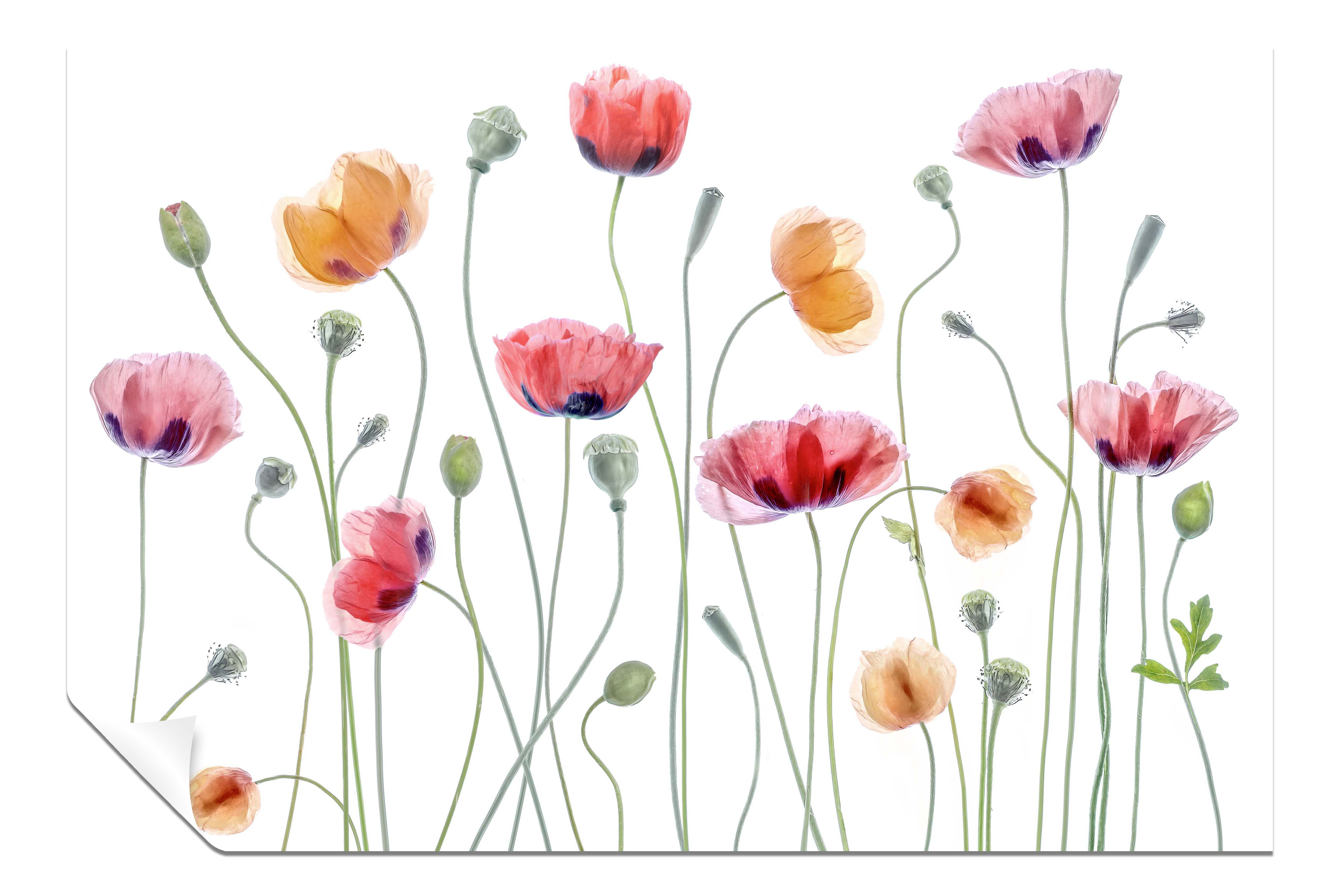 Marlow Home Co. Fine Art Prints Red & Yellow Transparent Flowers ...