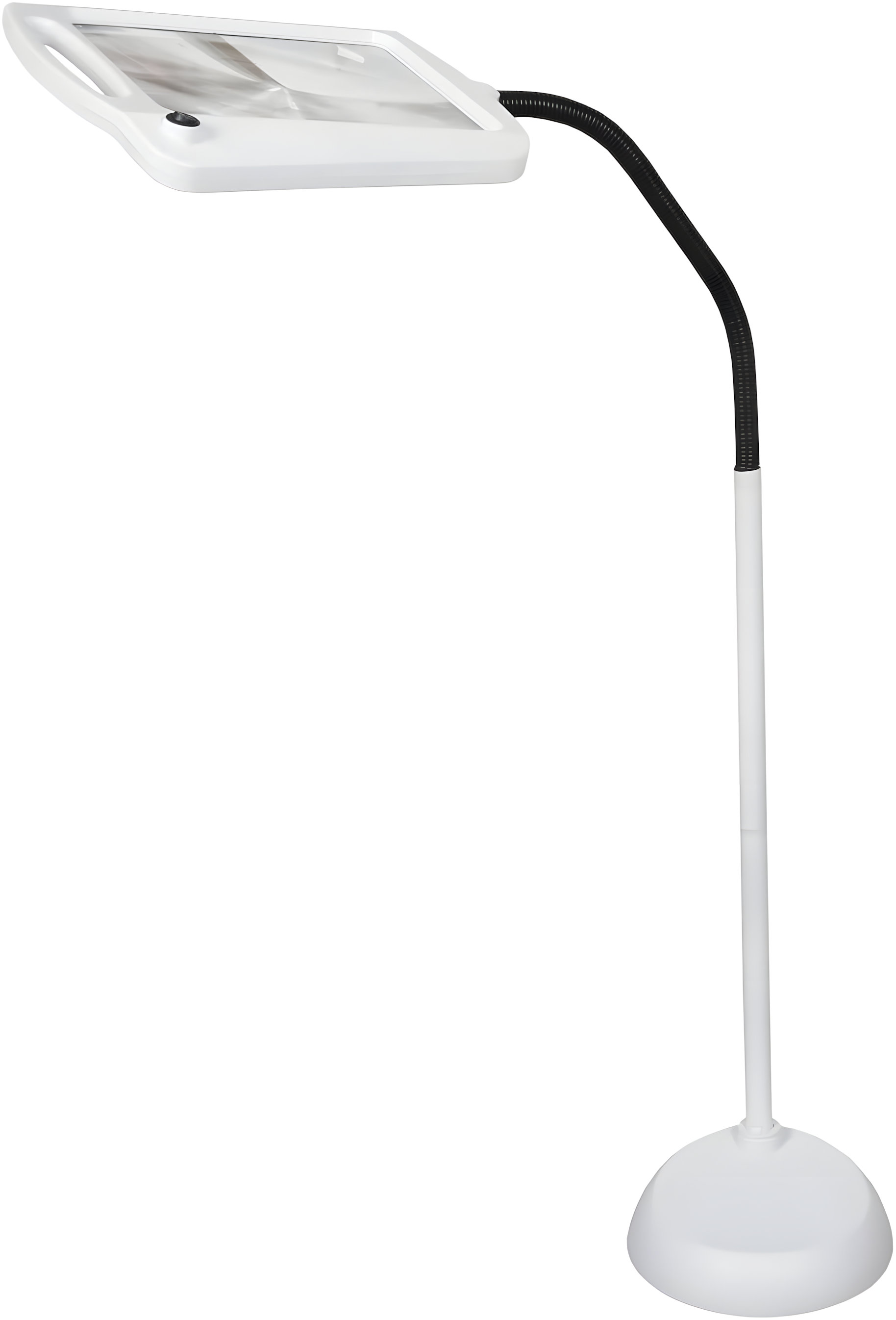 Orren Ellis Full Page 3X Magnifier Floor Lamp With 8X10 Inch ...