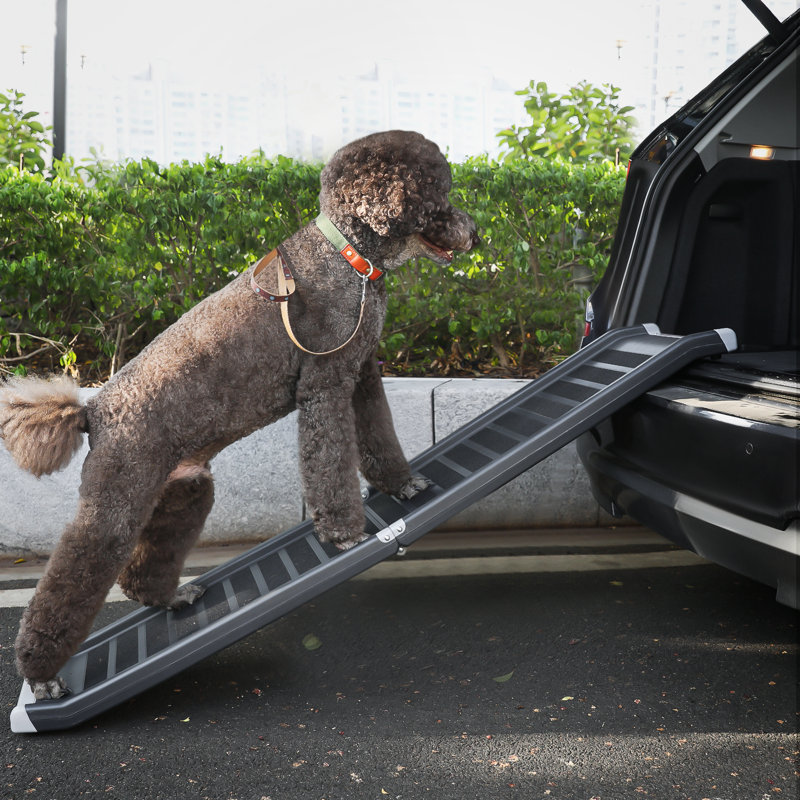 Tucker Murphy Pet™ Foldable Pet Car Ramp Portable Dogs Step Ladder with ...