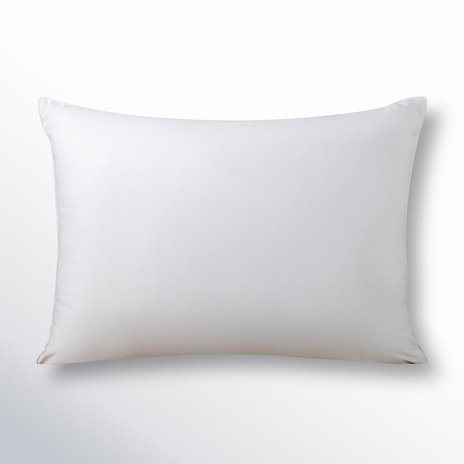 RE/FINE™ Terron Down Medium Pillow | Birch Lane