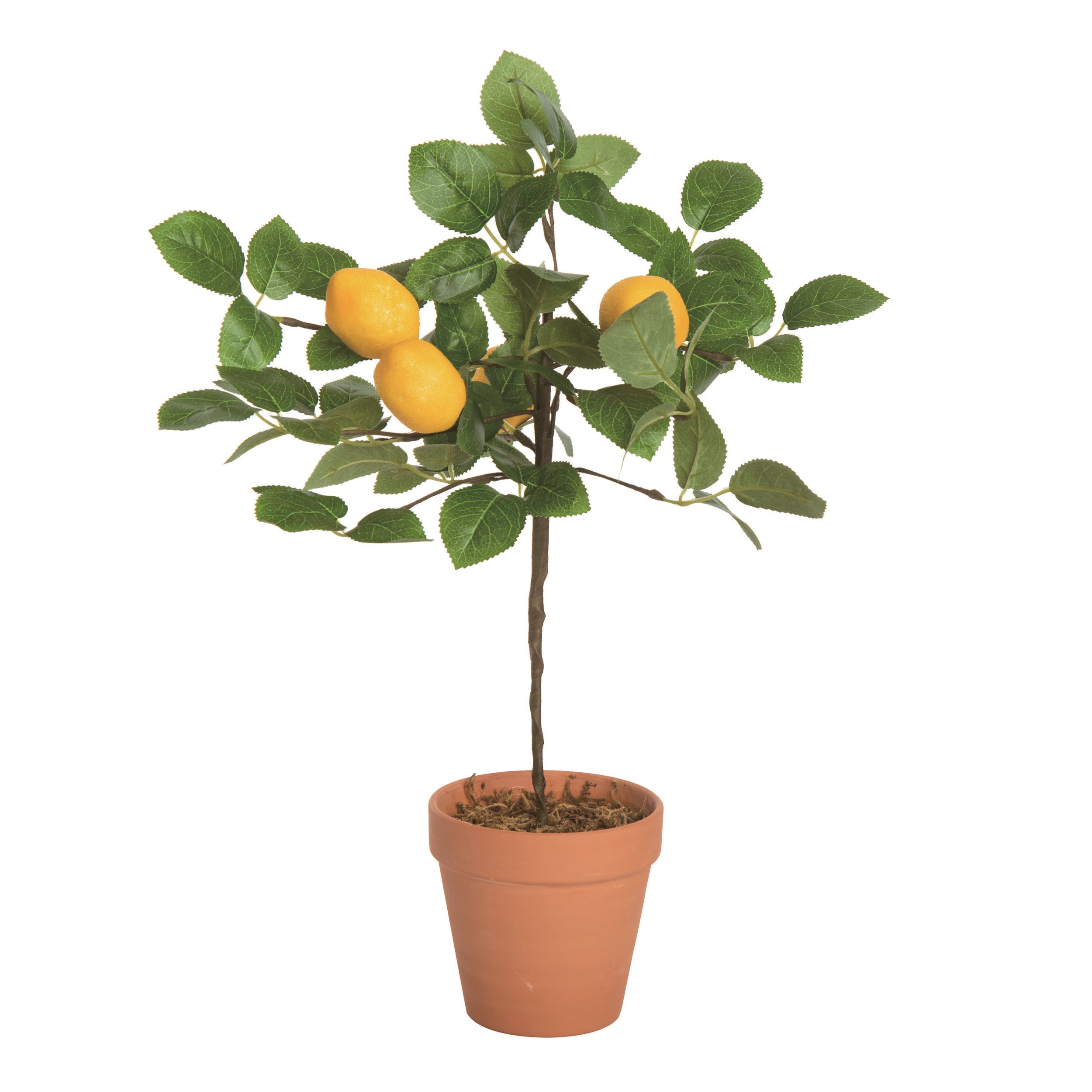 The Seasonal Aisle 20" Artificial Lemon Tree in Pot | Wayfair