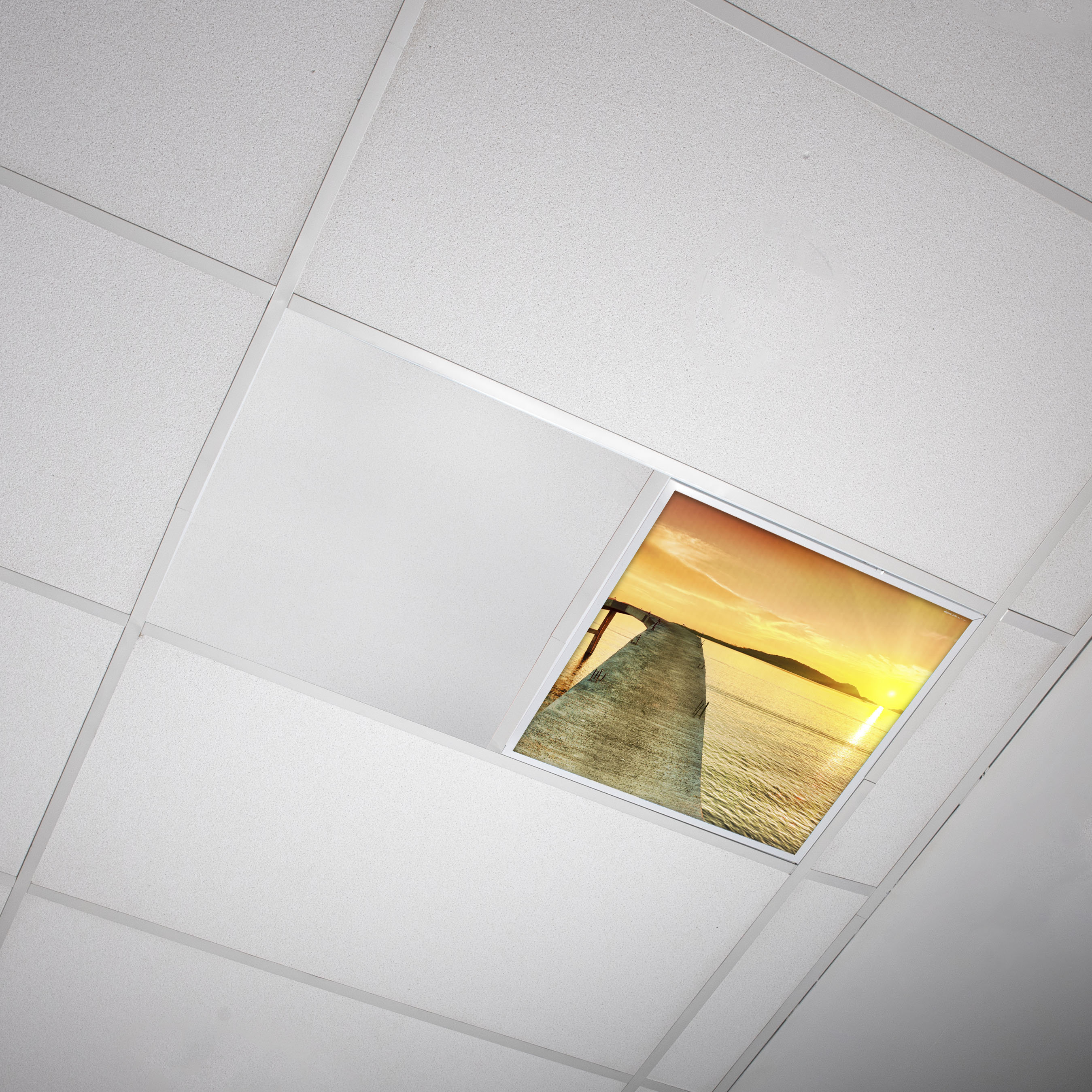 Octo Lights Beach Flexible Decorative Light Cover | Wayfair