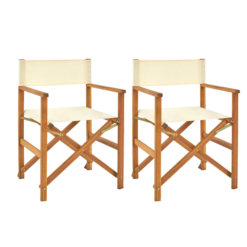 Arlmont & Co. 2-Piece Wooden Folding Director Chair | Wayfair