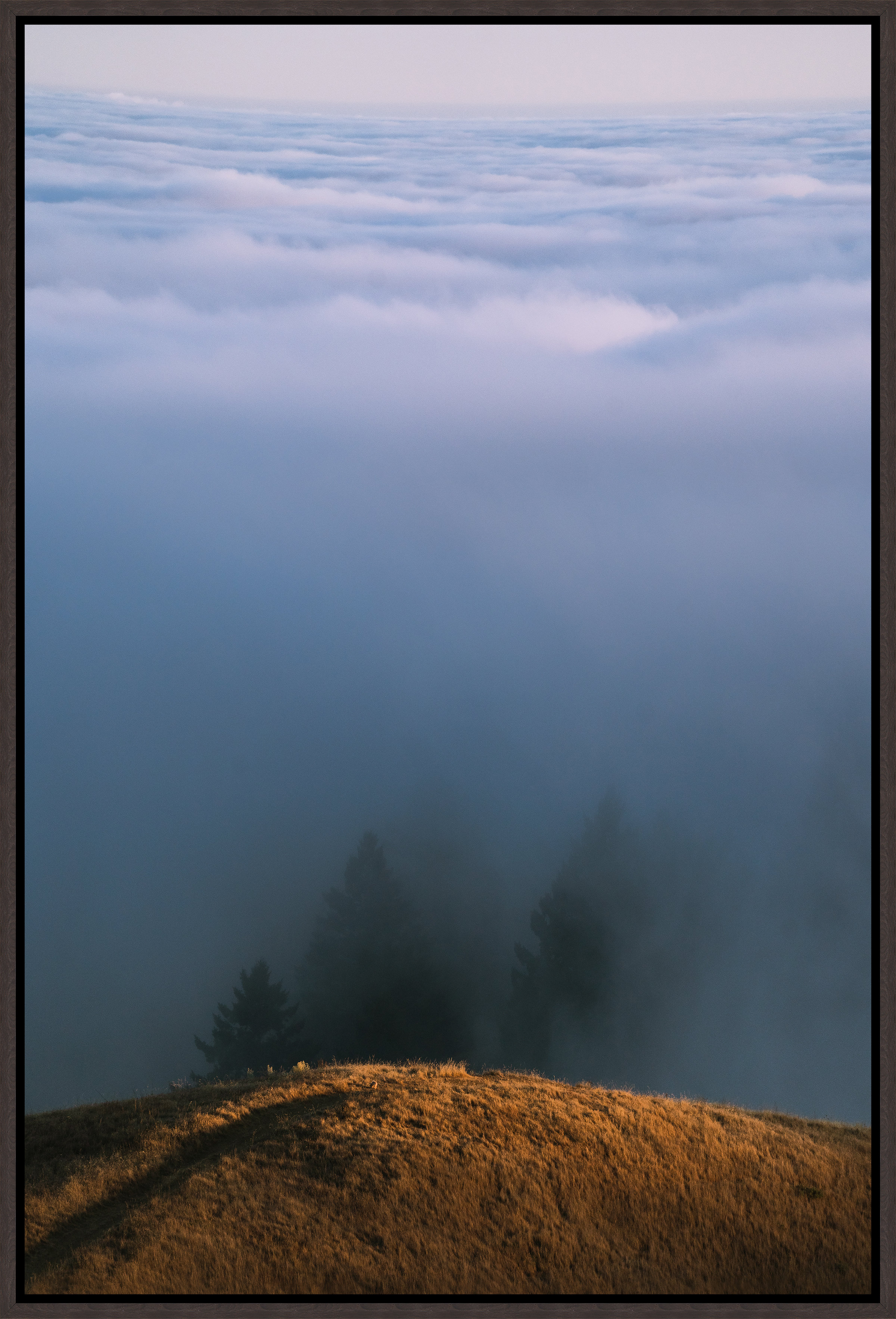 Chelsea Art Studio Mt. Tam Vista by Ryan Walsh - Photograph on Canvas ...