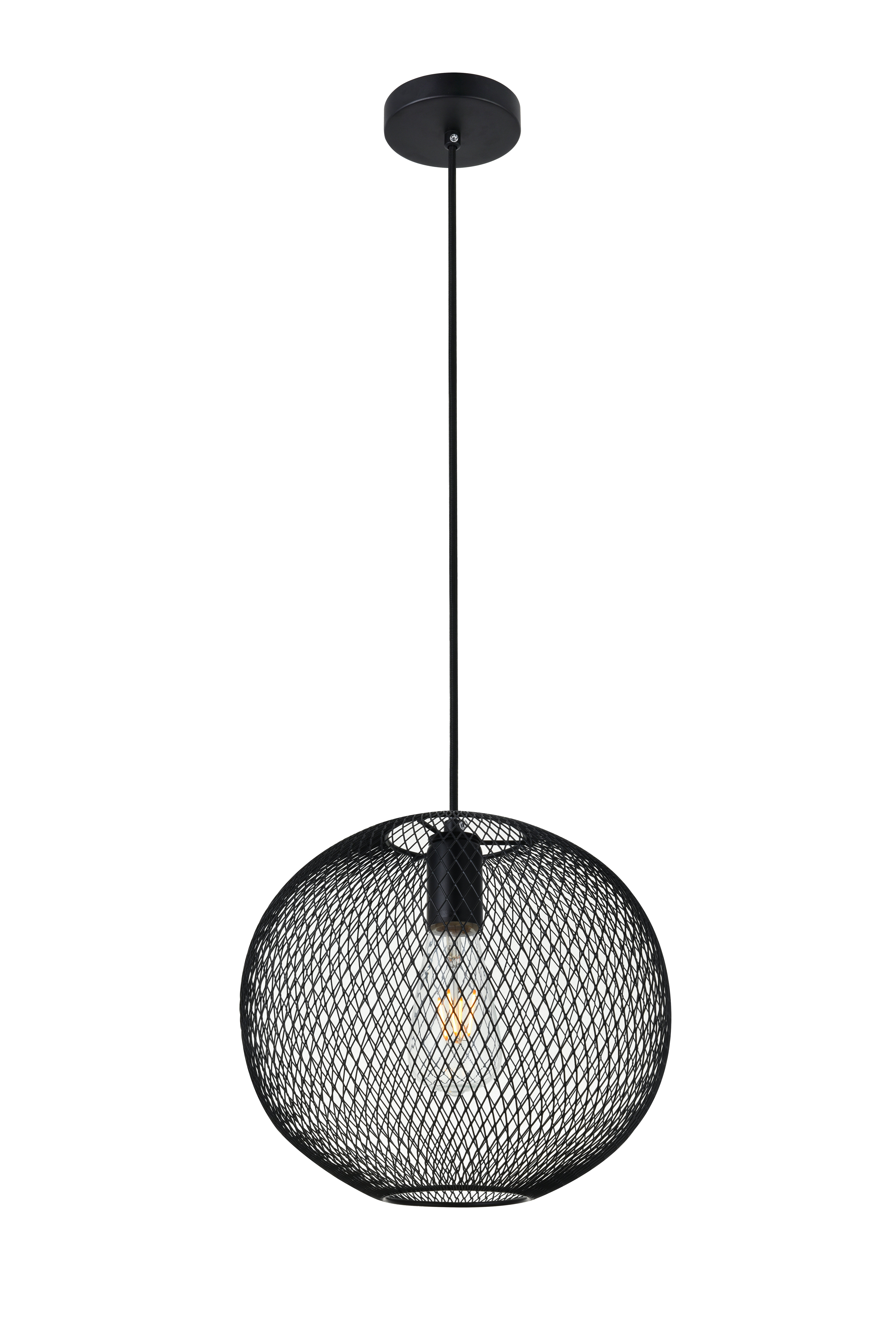 Sand & Stable™ Paxton 1 - Light Single Globe Pendant & Reviews | Wayfair