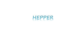 Hepper | Wayfair