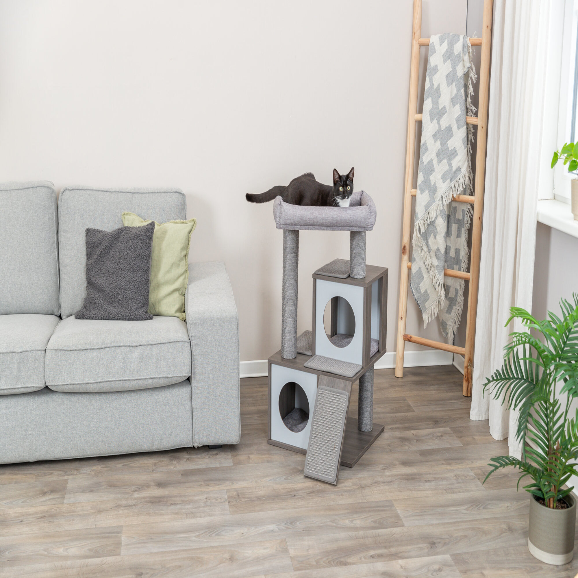 Archie & Oscar™ Mali Cat Tree | Wayfair