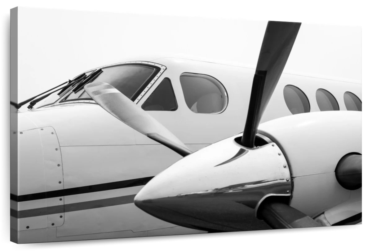 Elephant Stock Private Jet Propeller | Wayfair