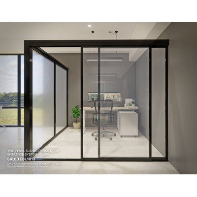 The Sliding Door Company 2-Panel Sliding Clear Glass Entrance Door Kit ...