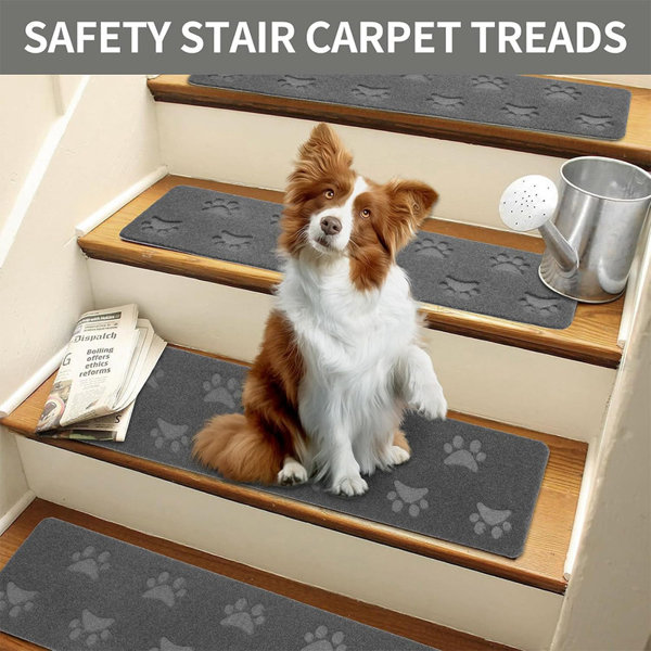 Lark Manor™ 8" X 30", 15 Pack Paw Print Non Slip Stair Treads Stair ...