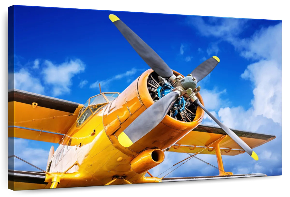 Ebern Designs Mehar Yellow Propeller Plane - Wayfair Canada