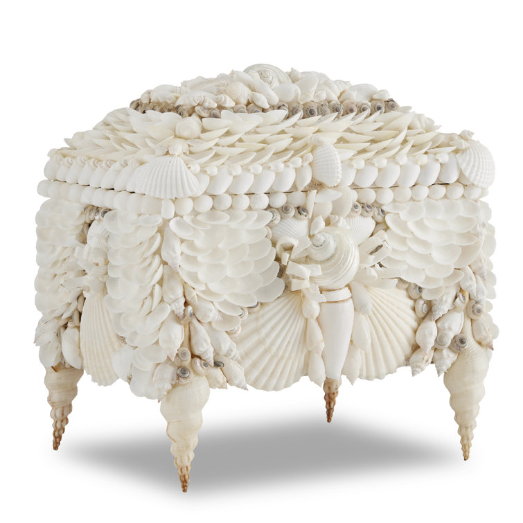 Currey & Company Boardwalk Shell Jewelry Box | Perigold