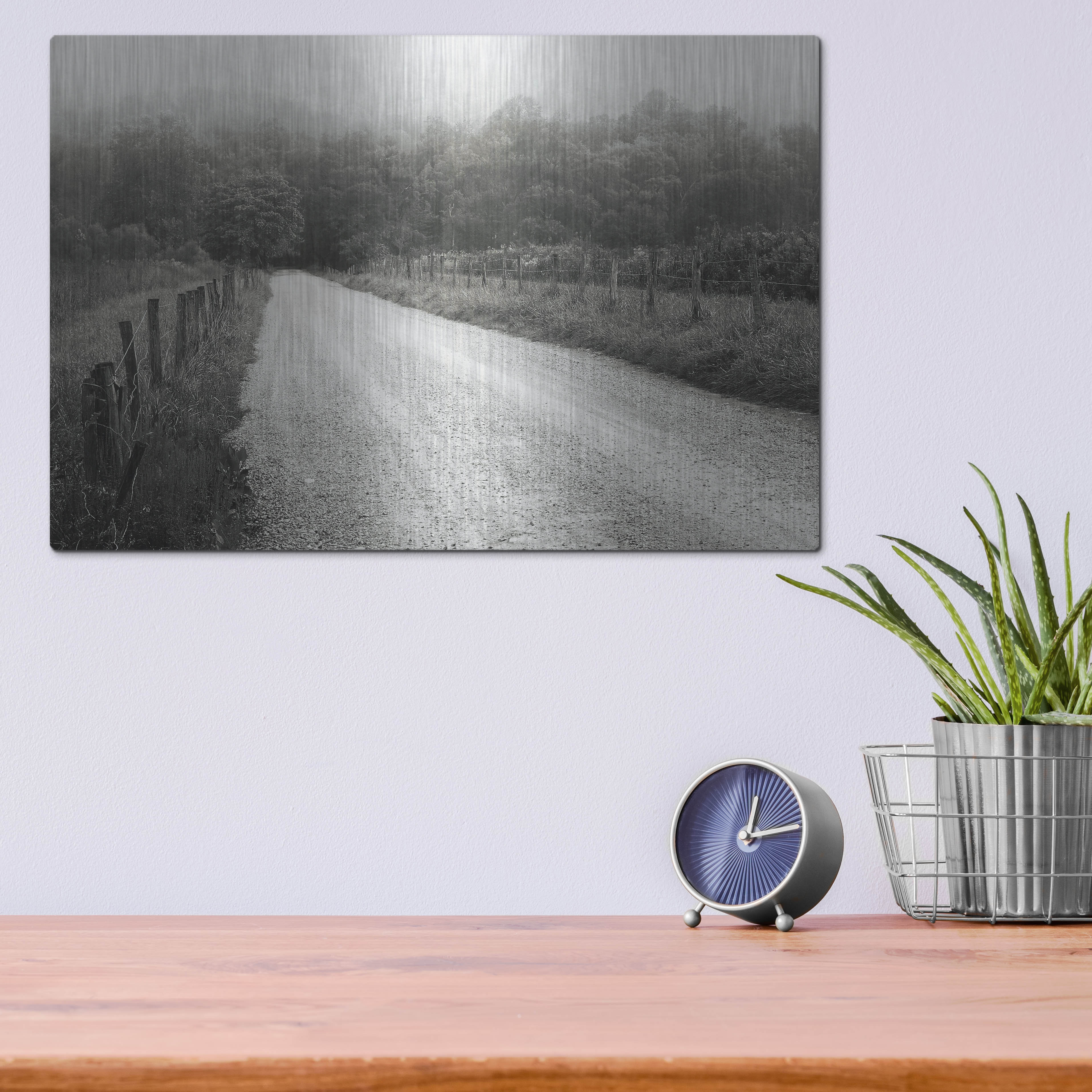 Ebern Designs Timeless Drive' by Nicholas Bell Photography, Metal Wall ...