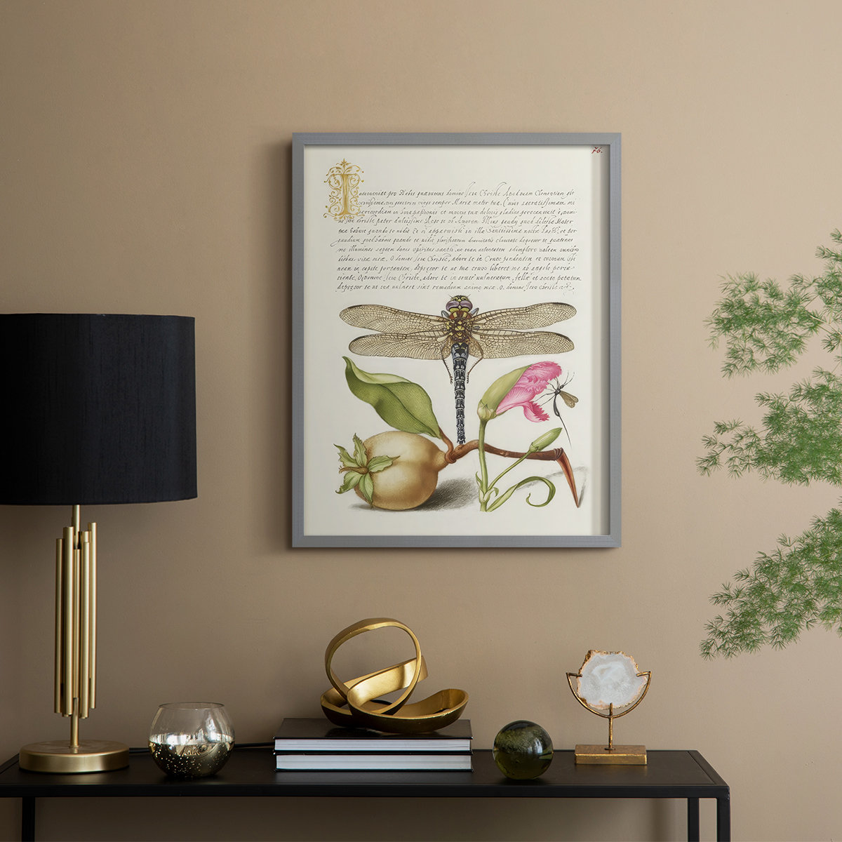 August Grove® Hoefnagel Tropical Specimens XIII Framed Print - Solid ...