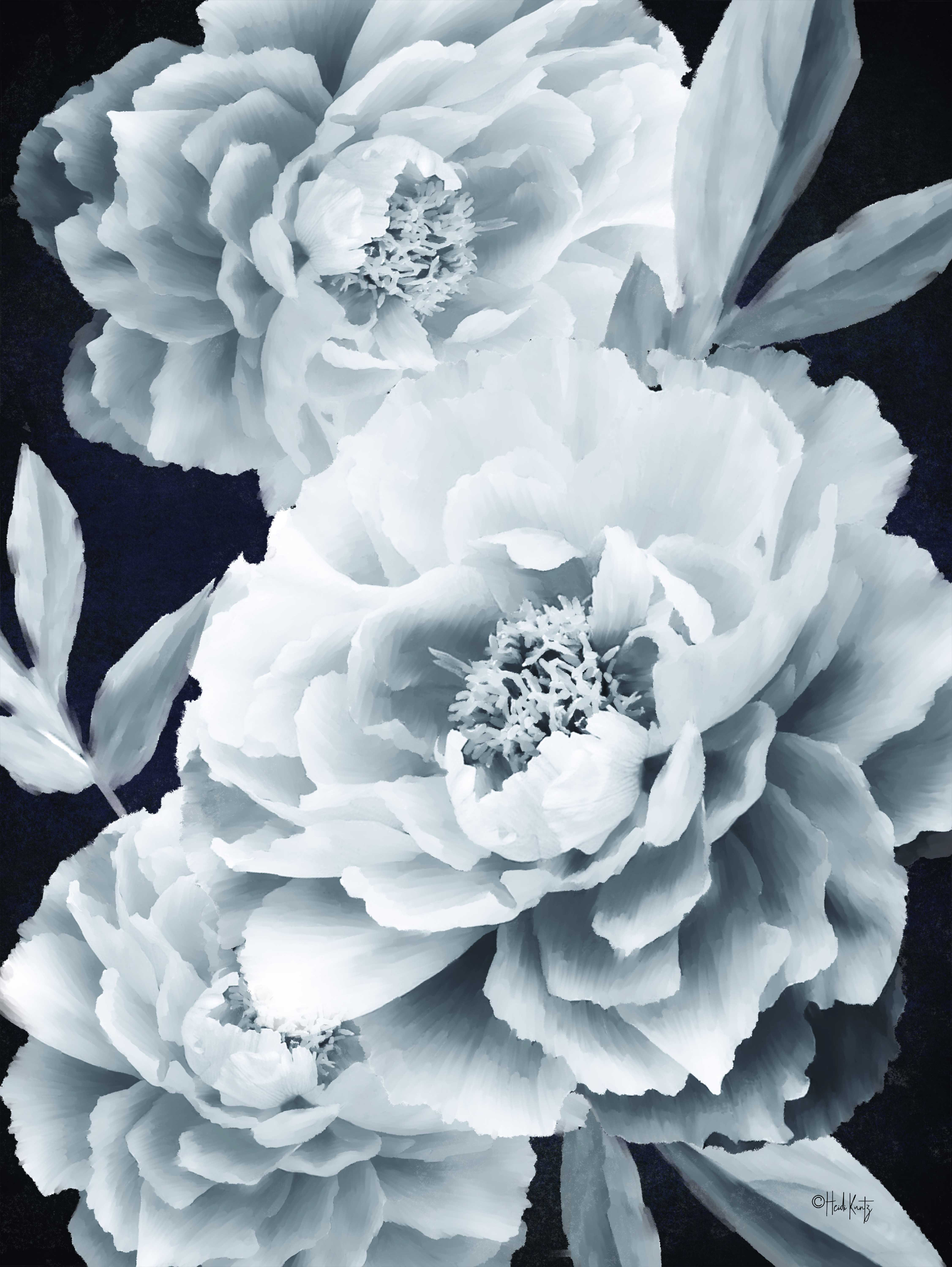 Wildon Home® Black And White Peonies - Wayfair Canada