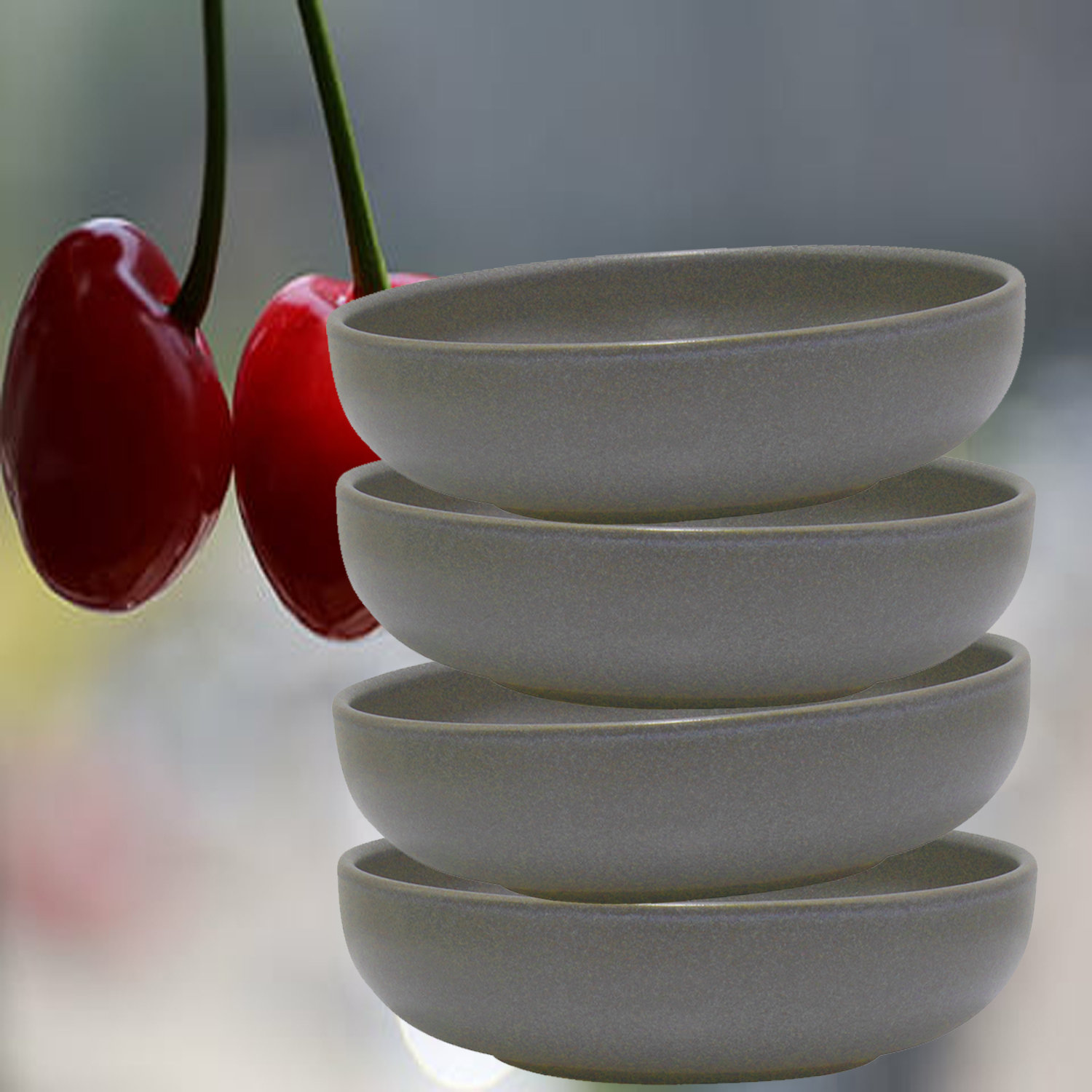 Dakota Fields Uno Soup Bowl (Set of 4) - Wayfair Canada