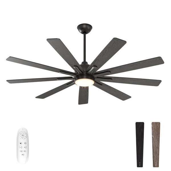 Red Barrel Studio® Dorava 62" 9-Blade Ceiling Fan with LED Lights and ...