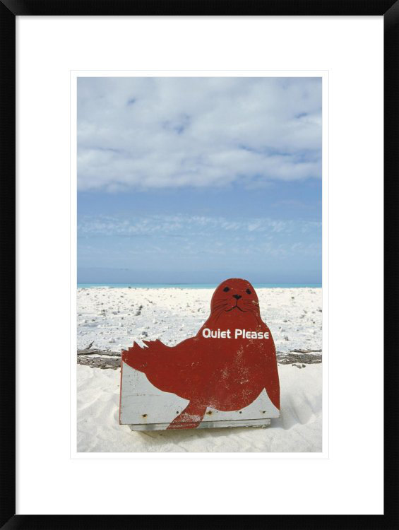 Global Gallery 'Hawaiian Monk Seal Sign 'Quiet Please, Monk Seal ...